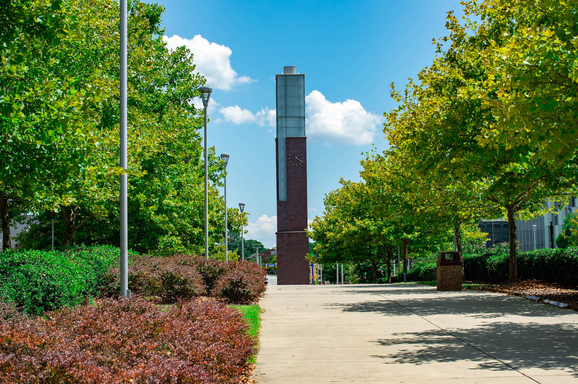 CAHSS Celebrates Outstanding Achievements of Students, Faculty | North ...