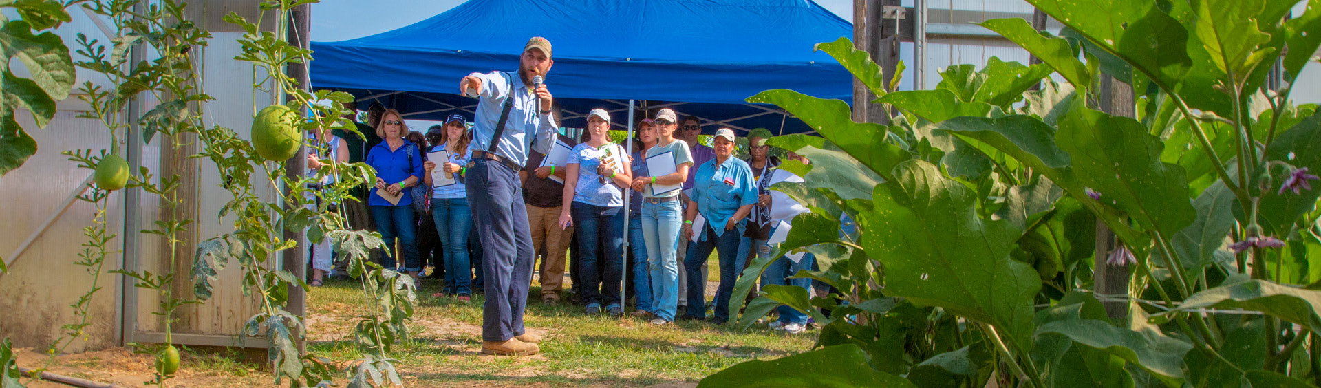 Horticulture Unit | North Carolina A&T State University