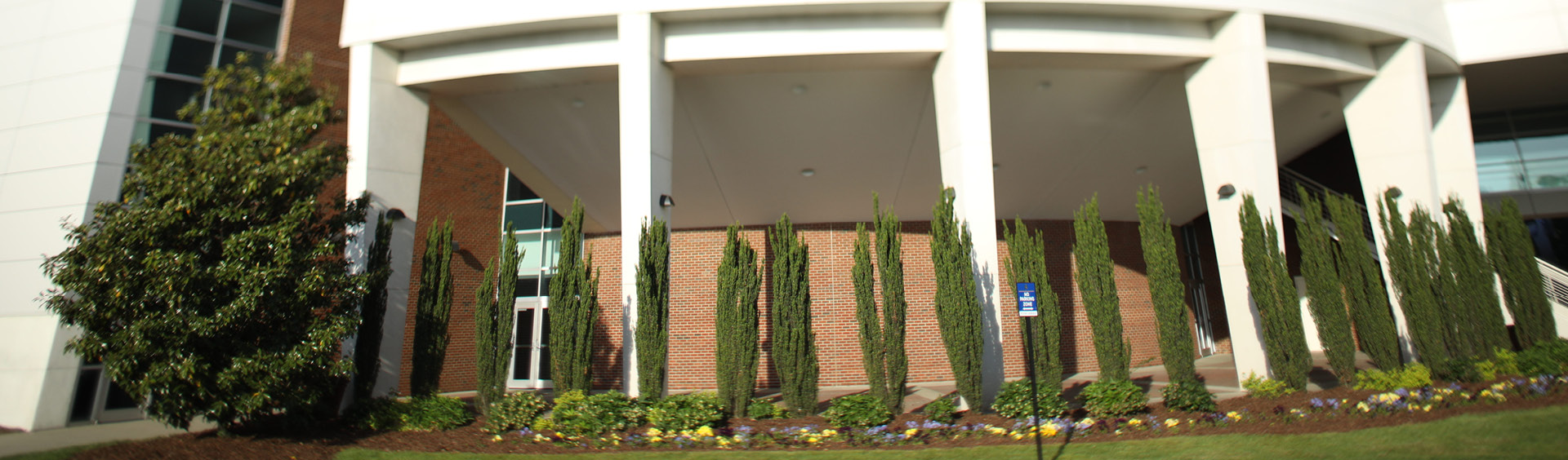 Department of Criminal Justice