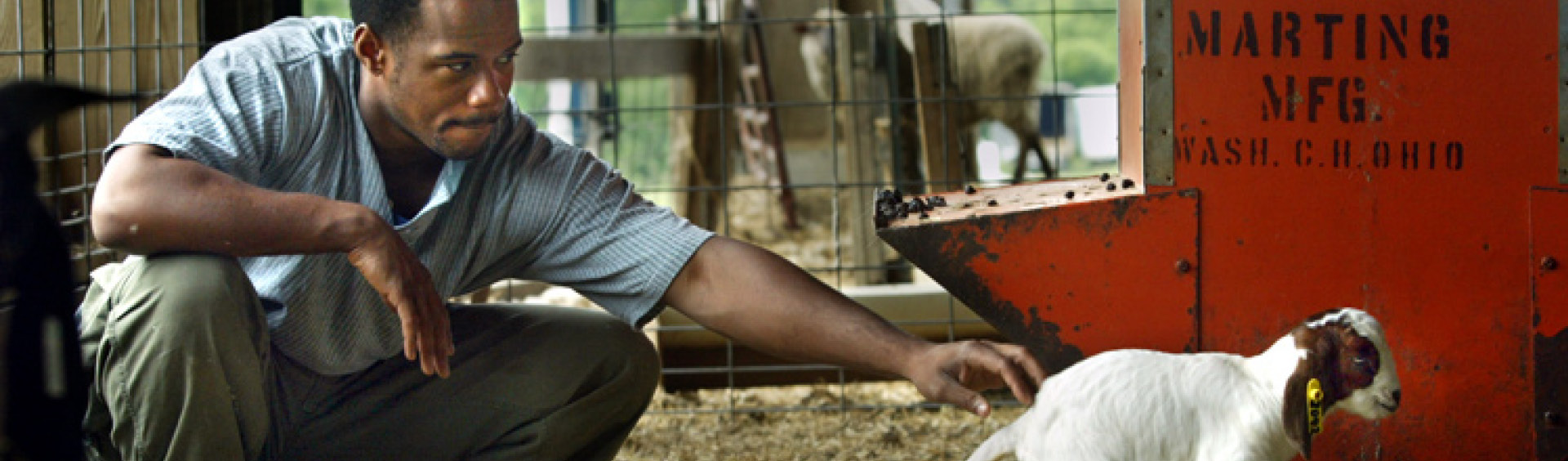 Bachelor of Science - Animal Science (Animal Science Industry) | North ...