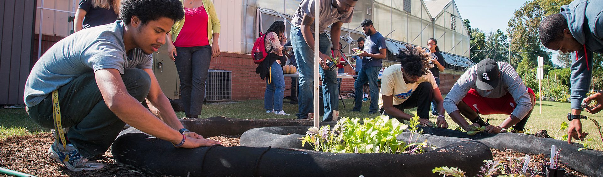 The Department of Natural Resources and Environmental Design at North ...