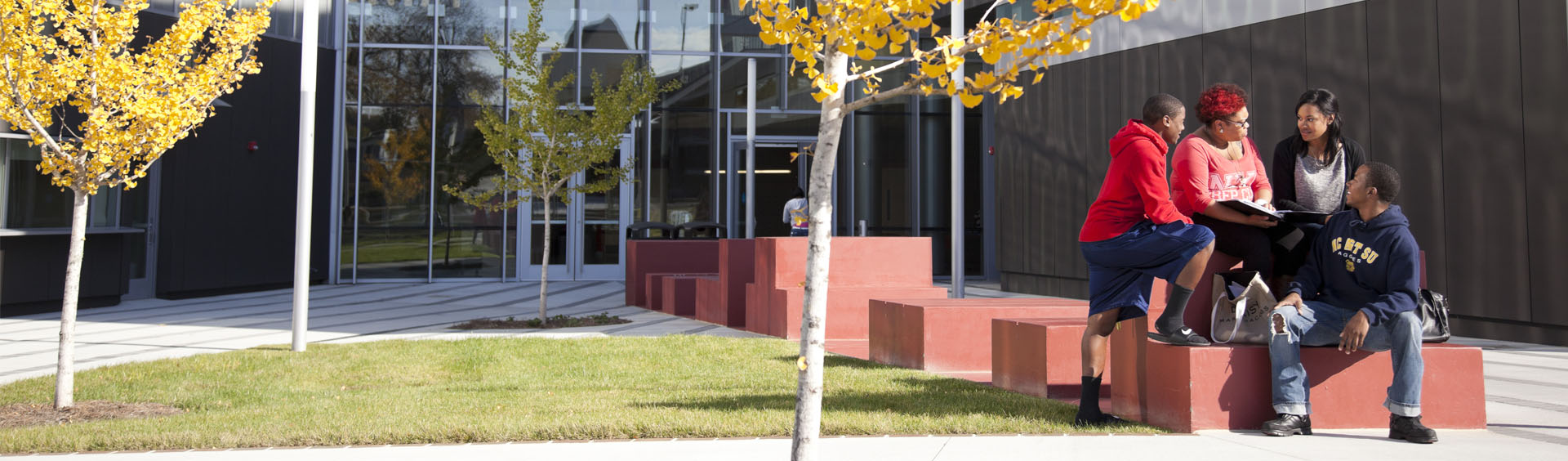 Center For Academic Excellence | North Carolina A&T State University