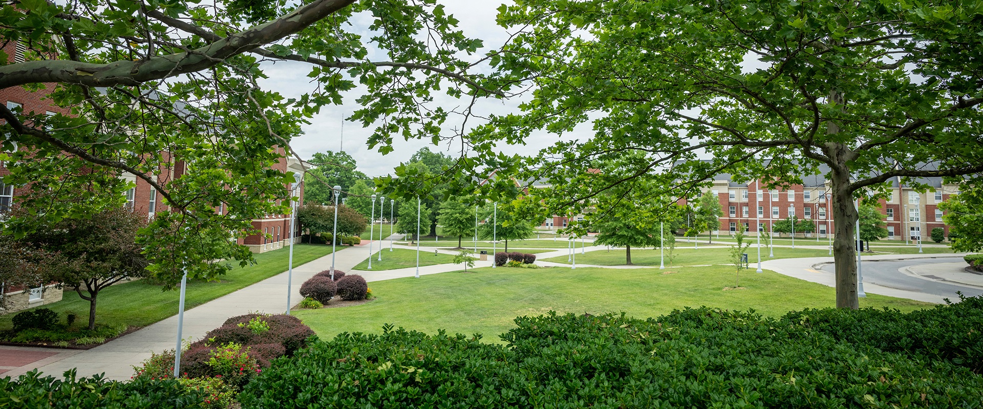 Aggie Student Wellness | North Carolina A&T State University
