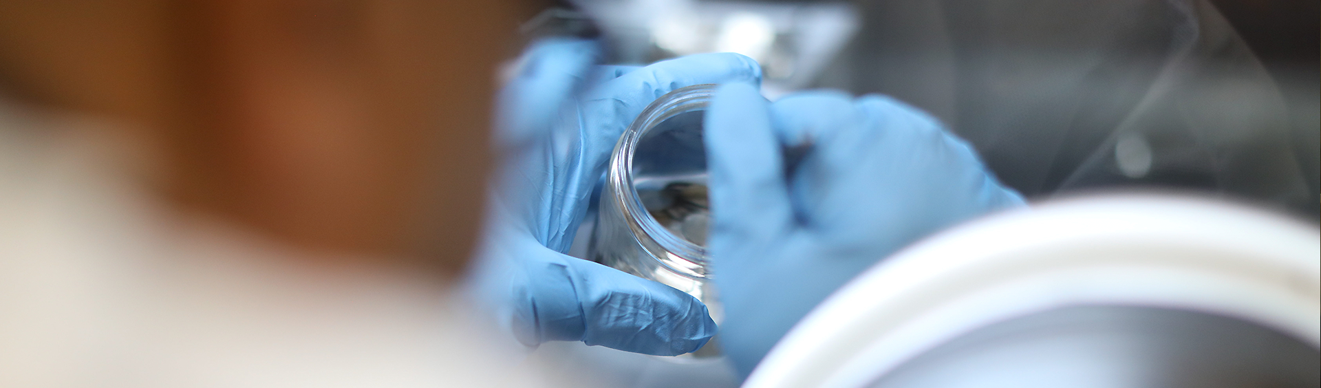 Master of Science in Bioengineering | North Carolina A&T State University