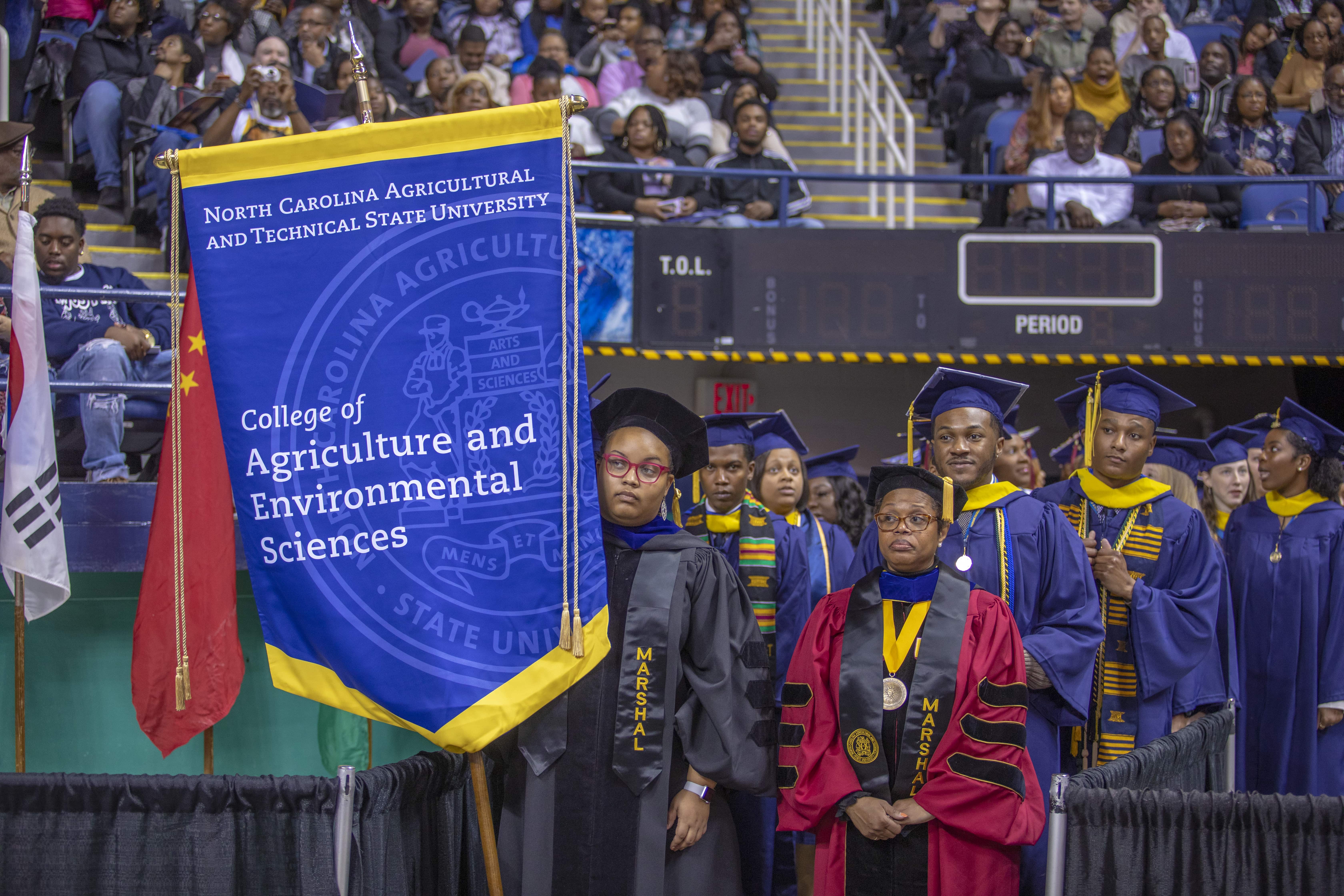 N.C. A&T Professor Simpson Appointed to EPA Advisory Committee | North ...