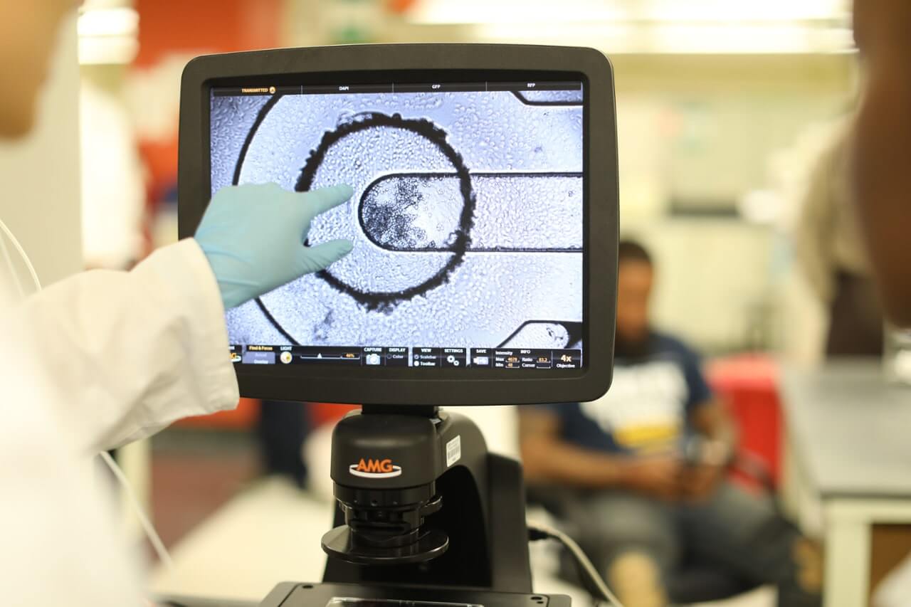 Endowed Biology Professor Graves Named 2024 Genius Award Honoree ...