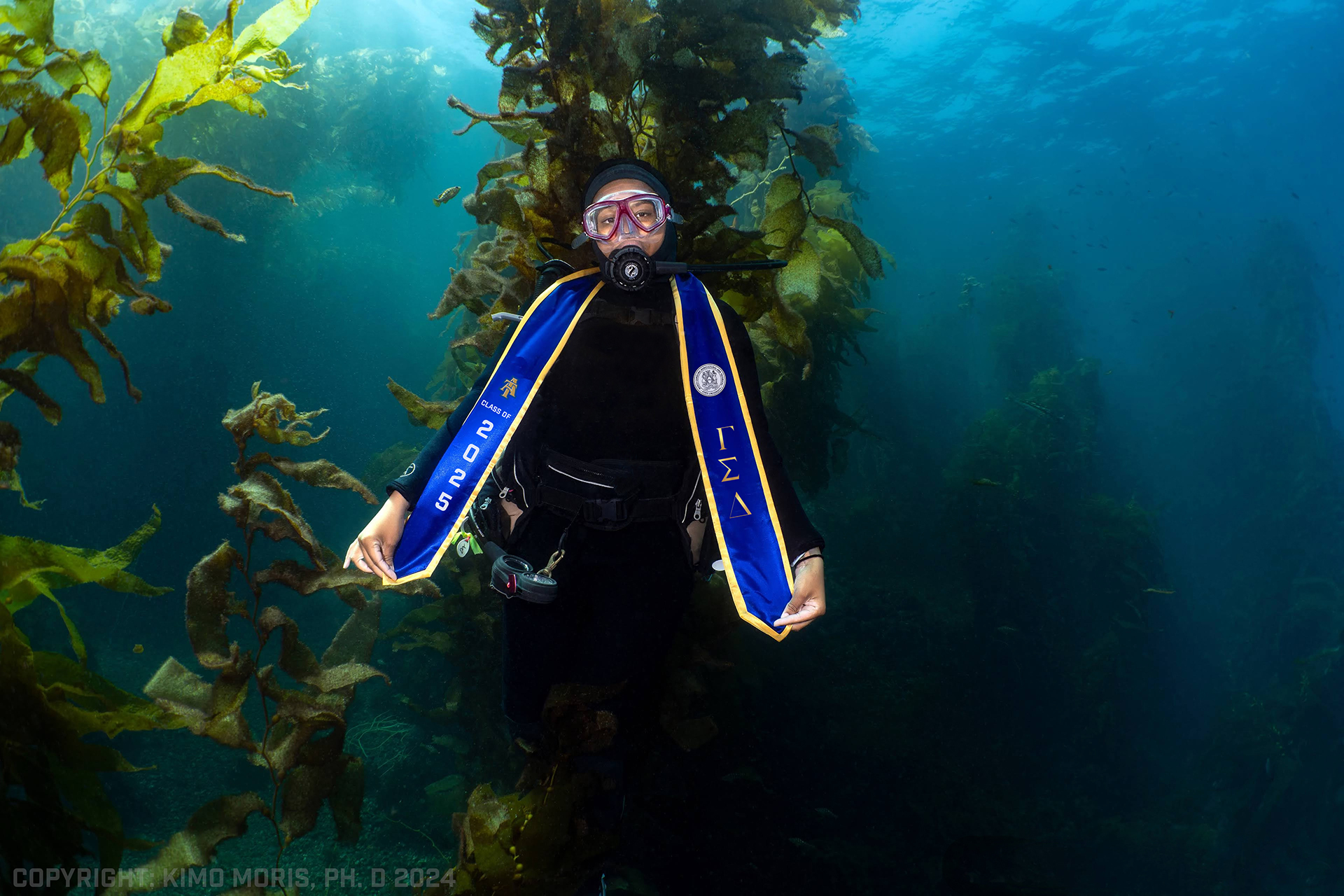 Lab Animal Sciences Student Plunges into UCLA Marine Biology Internship ...