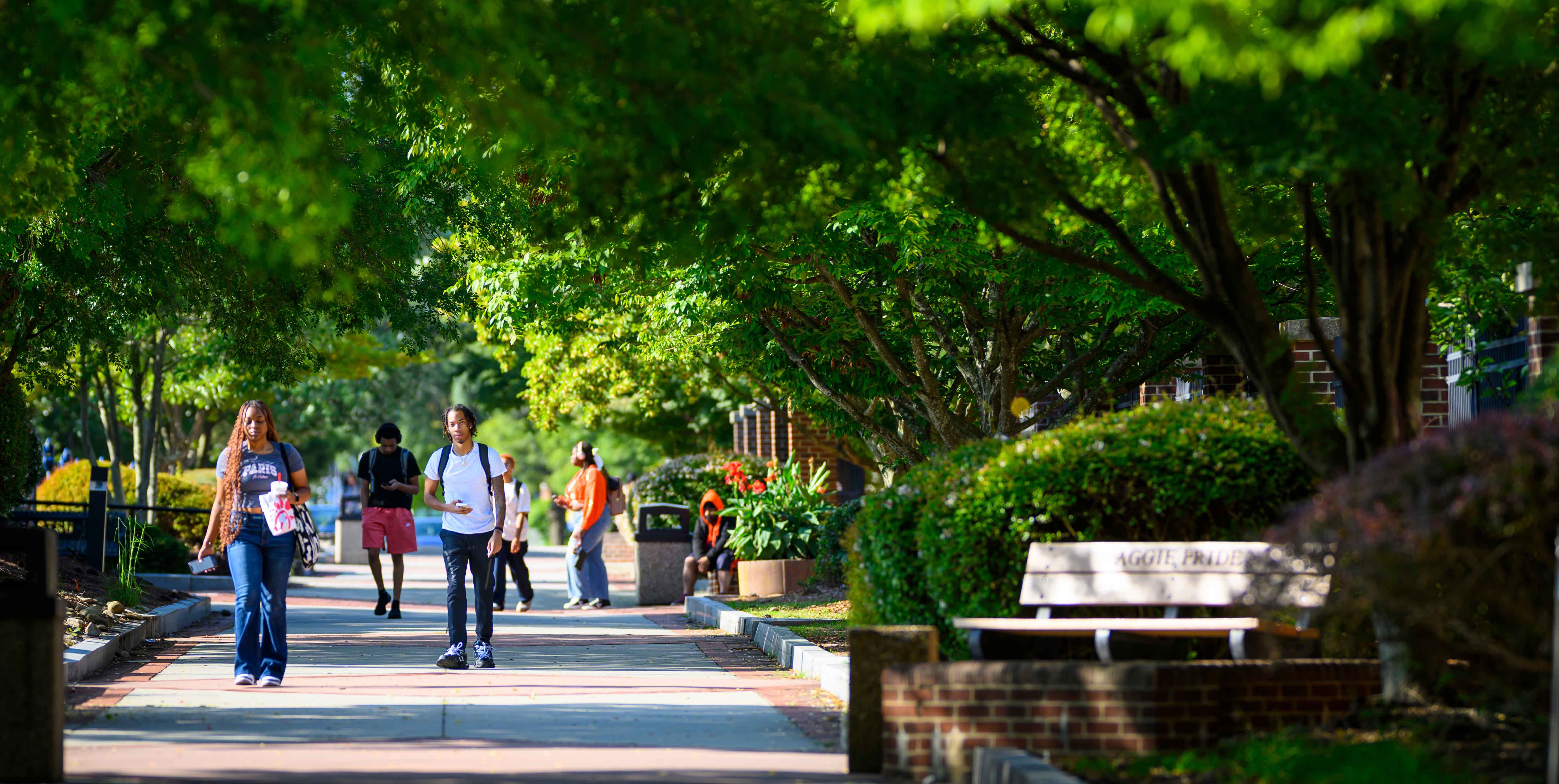 A&T Launches 135th Year with Record Enrollment, New Measures for ...